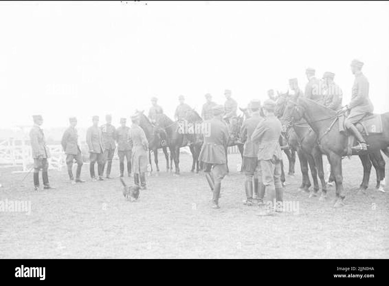 Activity review Black and White Stock Photos & Images - Alamy