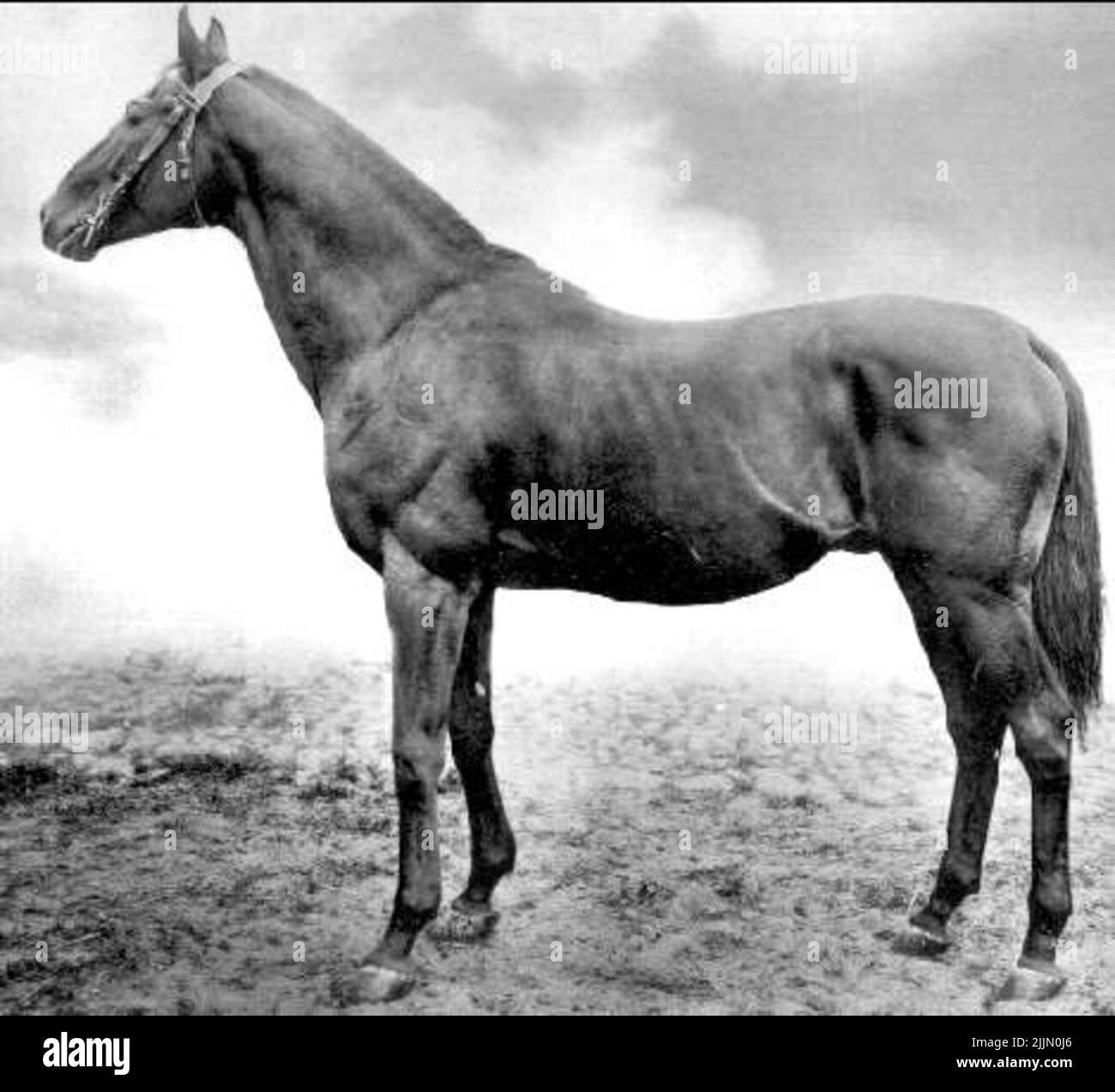 Born 1896 Black and White Stock Photos & Images - Alamy