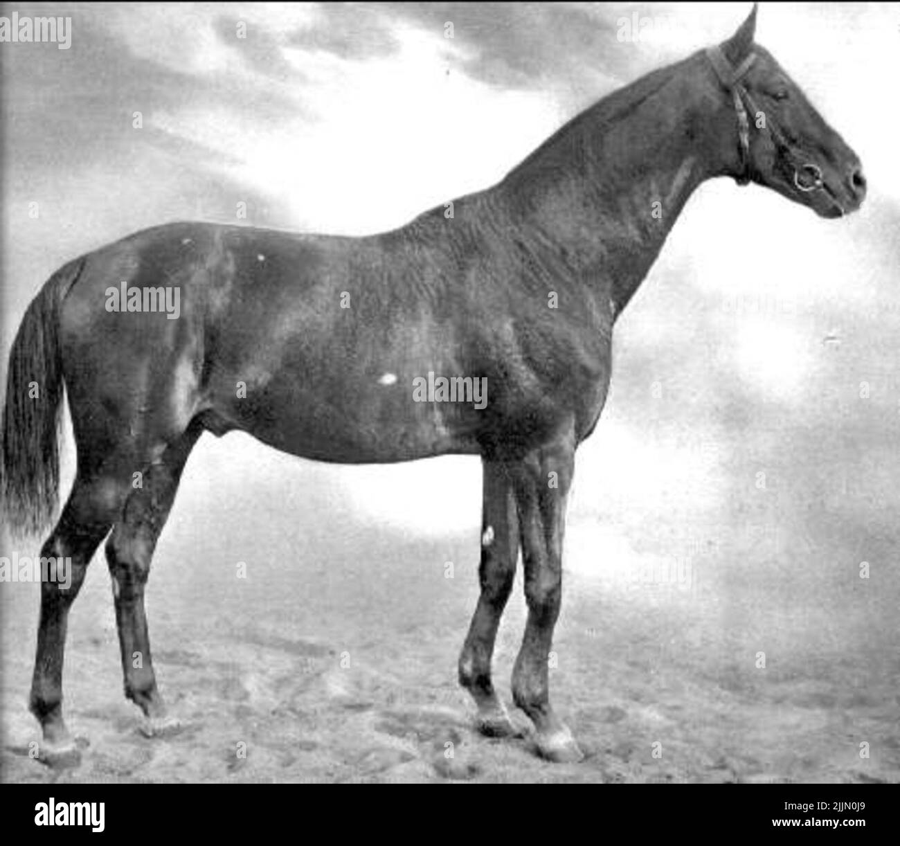 Lord Garret **, born 1903 Stock Photo - Alamy
