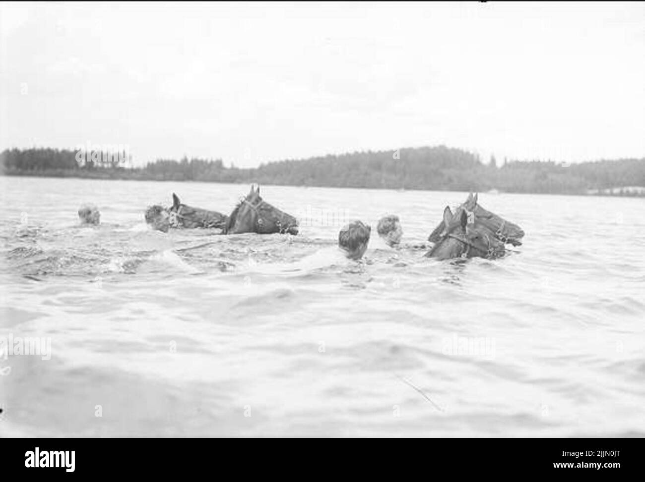 Patrol competition swimming over the lake Vristulven. Patrol chief ...