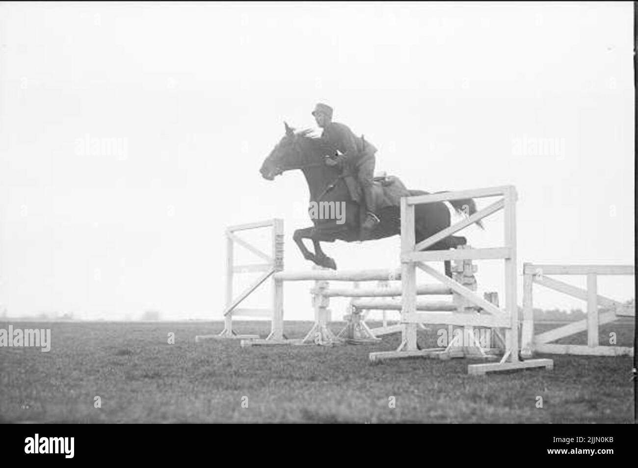Cavalry horse bridle Black and White Stock Photos & Images - Alamy