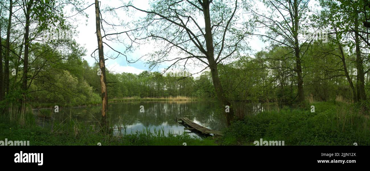 Shot lake scenic in summer hi-res stock photography and images - Alamy