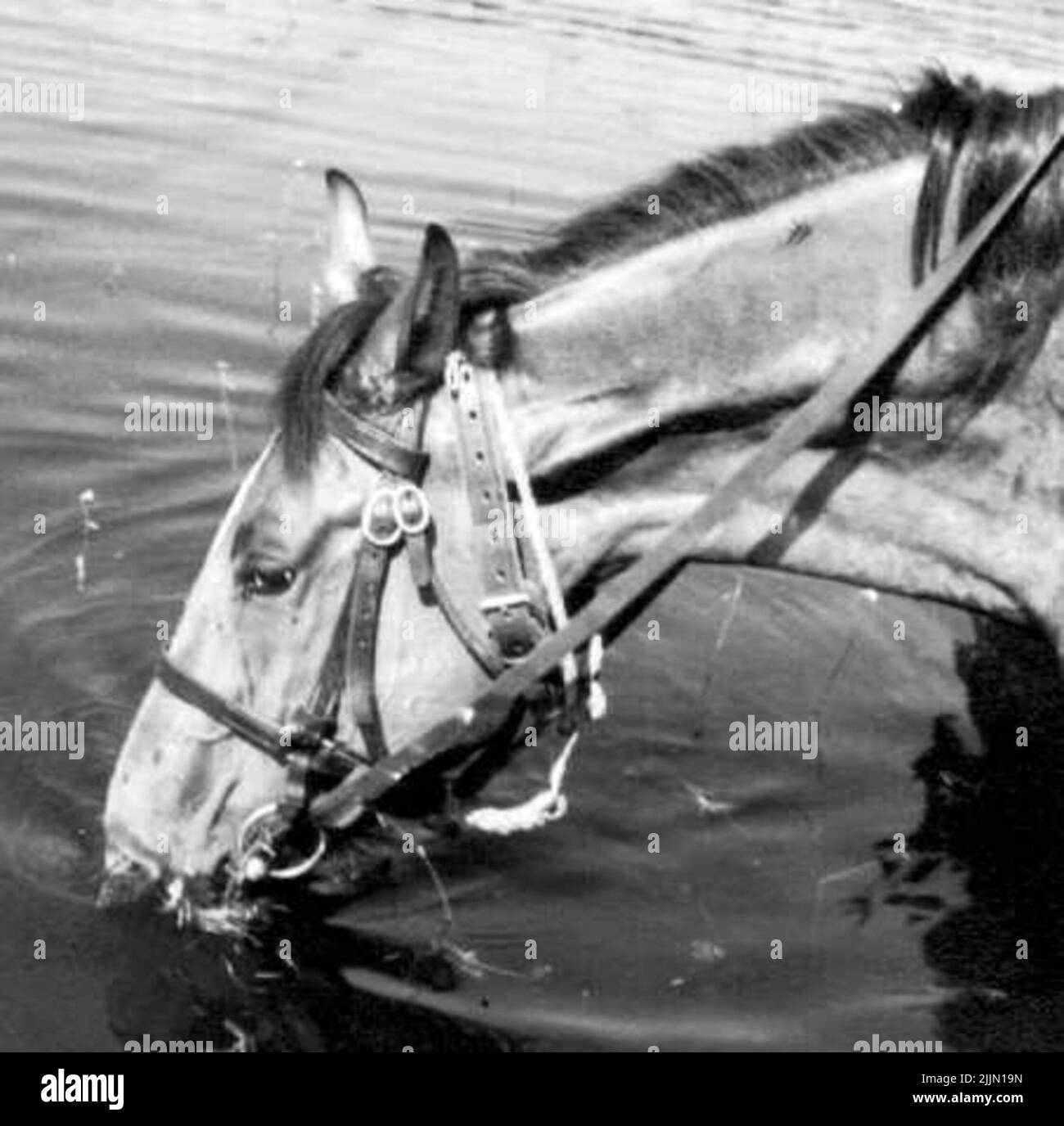 Throughout year Black and White Stock Photos & Images - Alamy