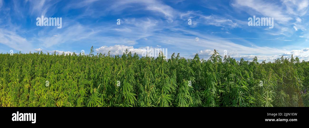 Endless growth hi-res stock photography and images - Alamy