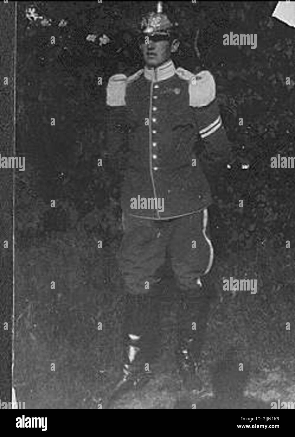 The Life Regiment's Husars, K3 Stock Photo - Alamy
