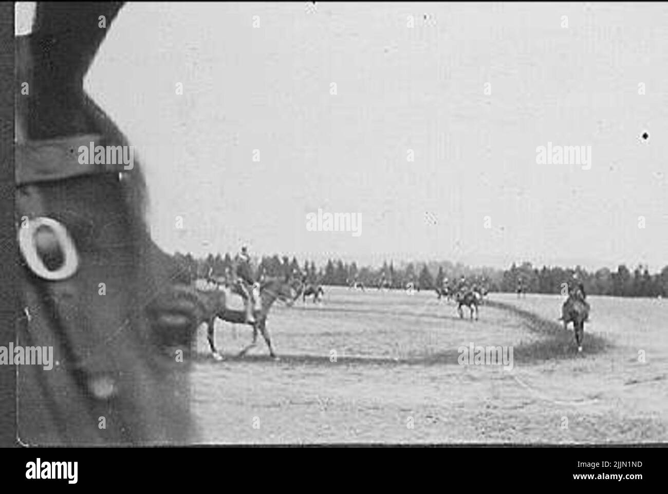 Regiment exercise 1912, individual riding Stock Photo - Alamy