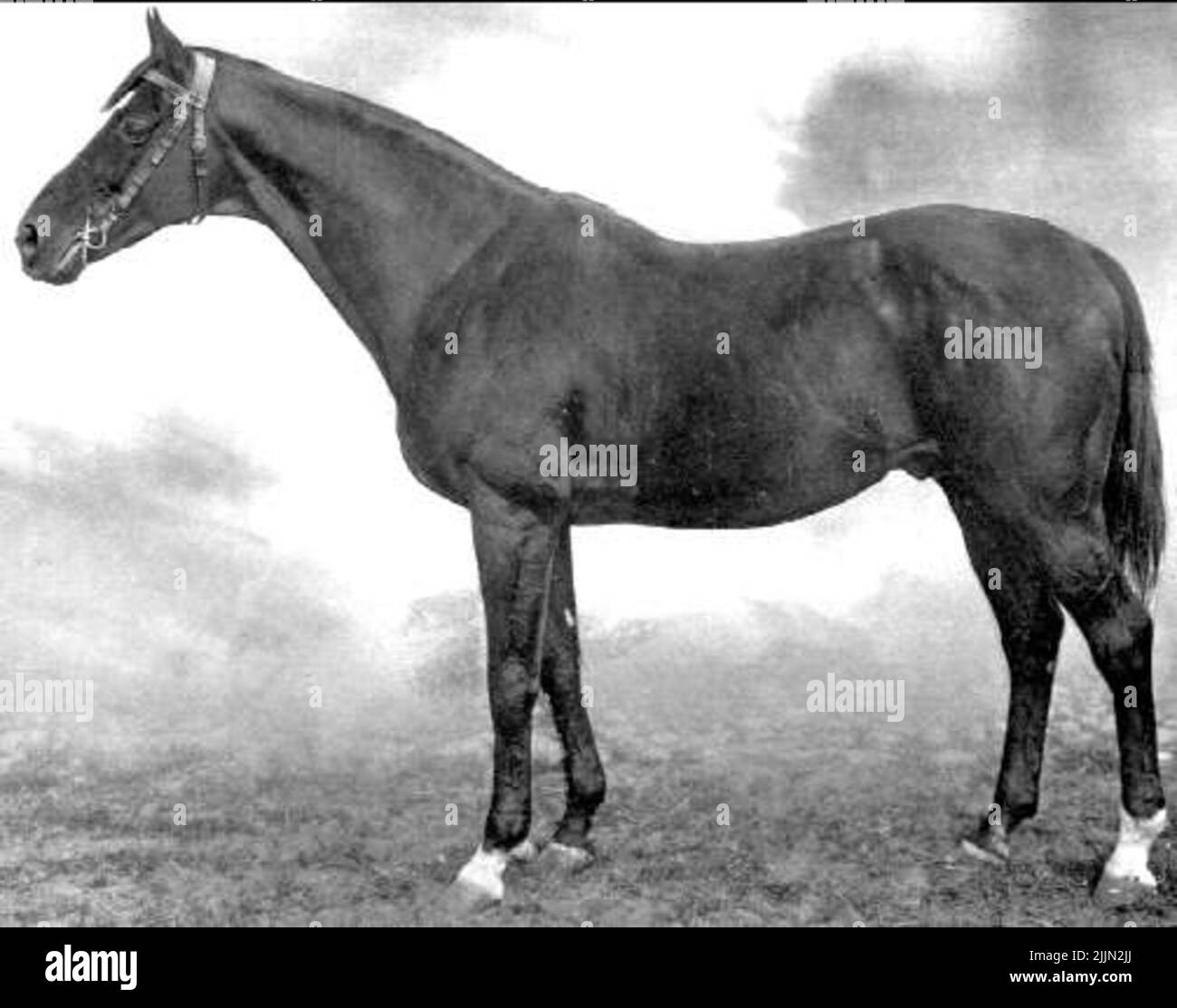 Star height Black and White Stock Photos & Images - Alamy