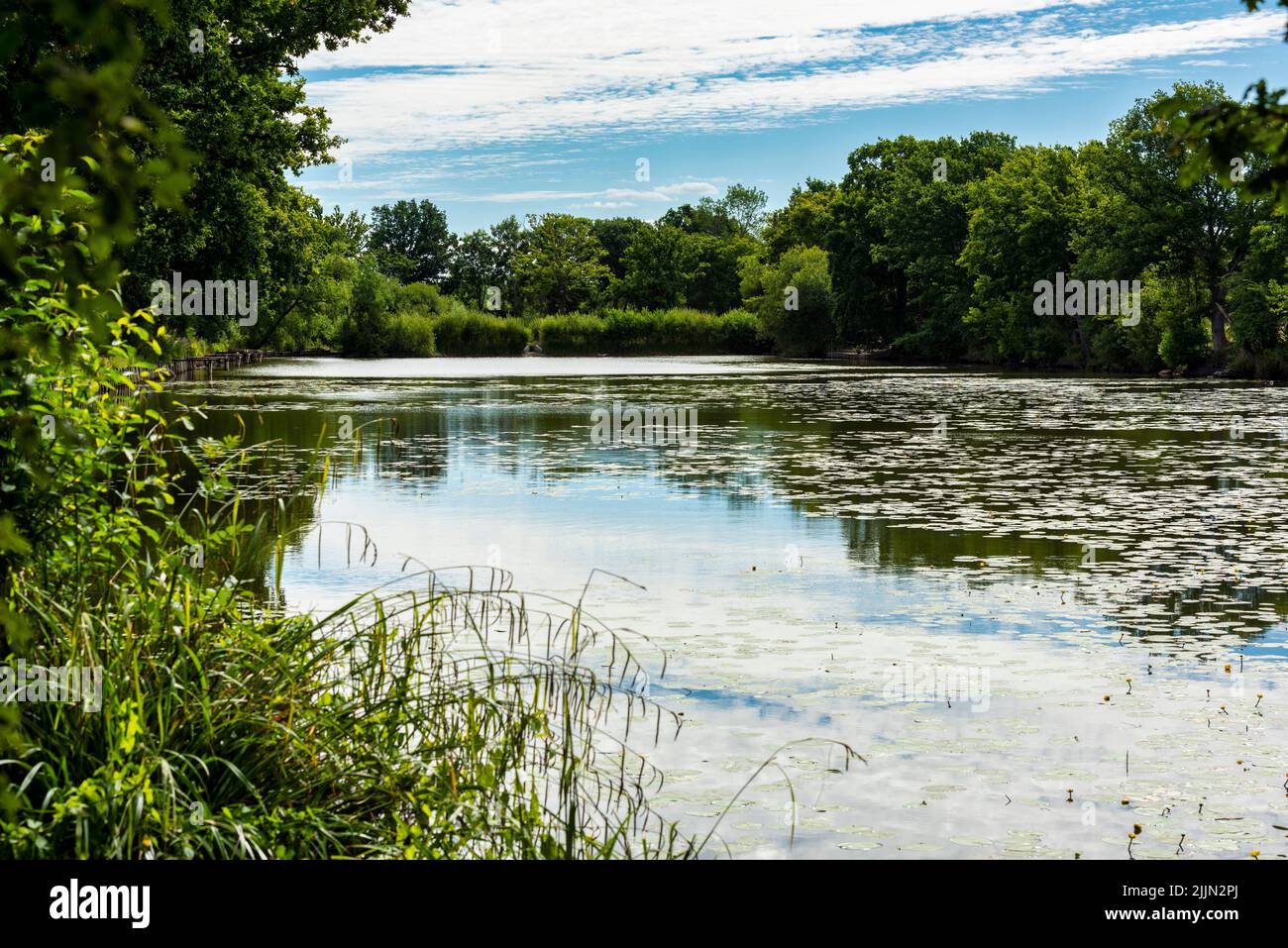 One of the many lakes in Haysden Park in Tonbridge, Kent, England Stock ...