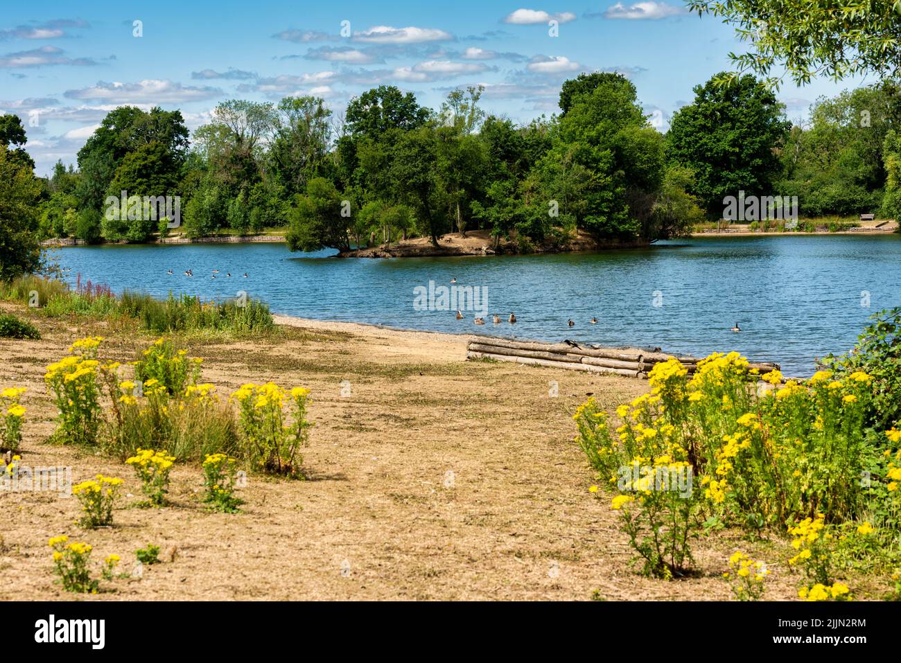 One of the many lakes in Haysden Park in Tonbridge, Kent, England Stock ...