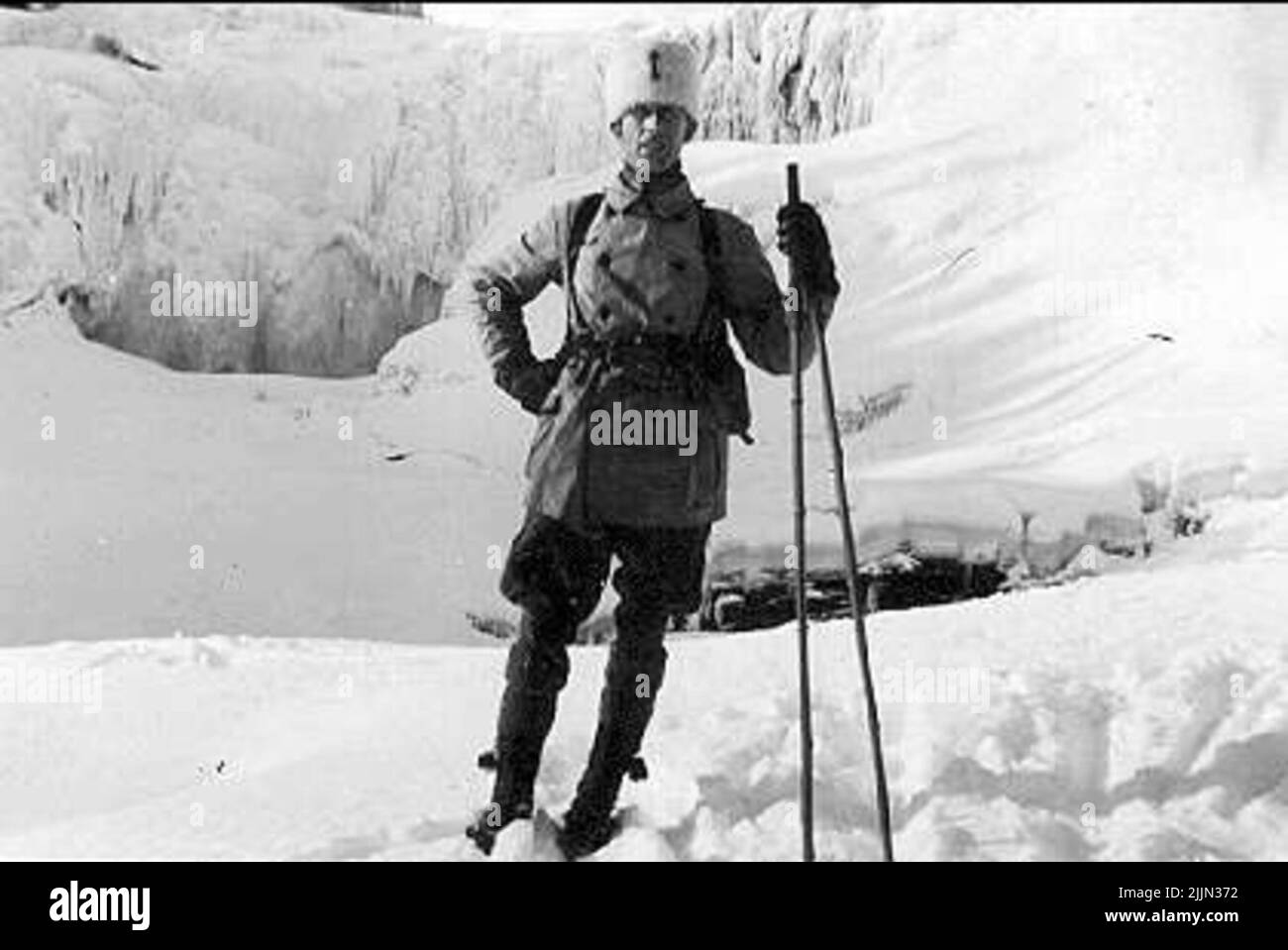 Furir hi-res stock photography and images - Alamy