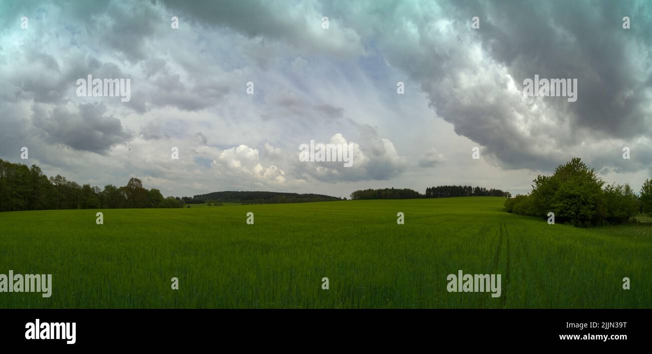 An aerial panoramic shot of greenery field under cloudy sky Stock Photo ...