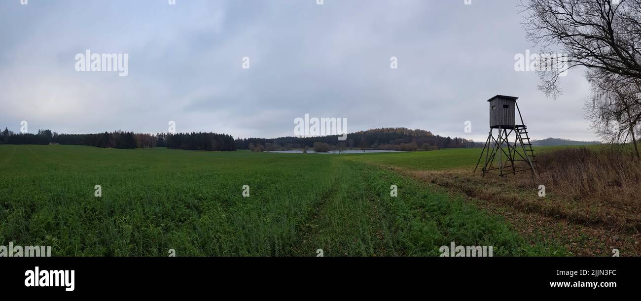 Aerial hunting hi-res stock photography and images - Alamy