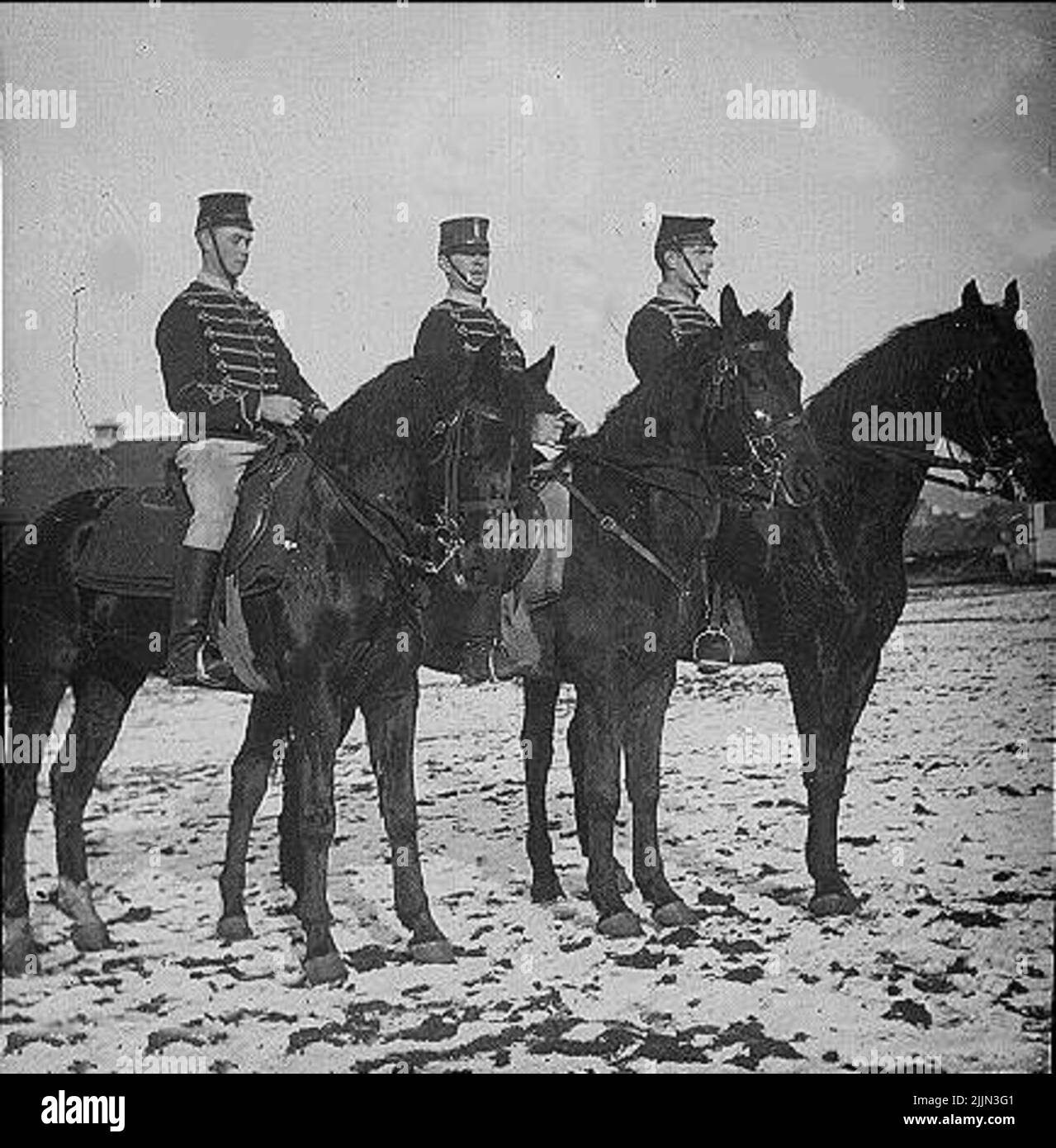 Horse training black and white Black and White Stock Photos & Images ...