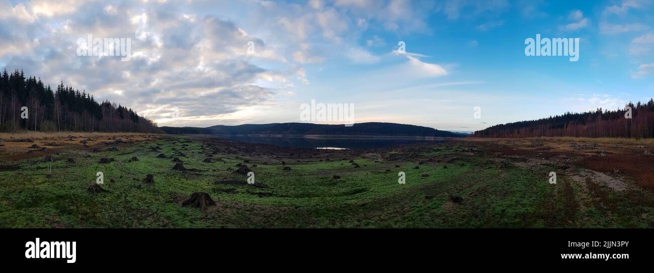 Open grass and trees hi-res stock photography and images - Alamy