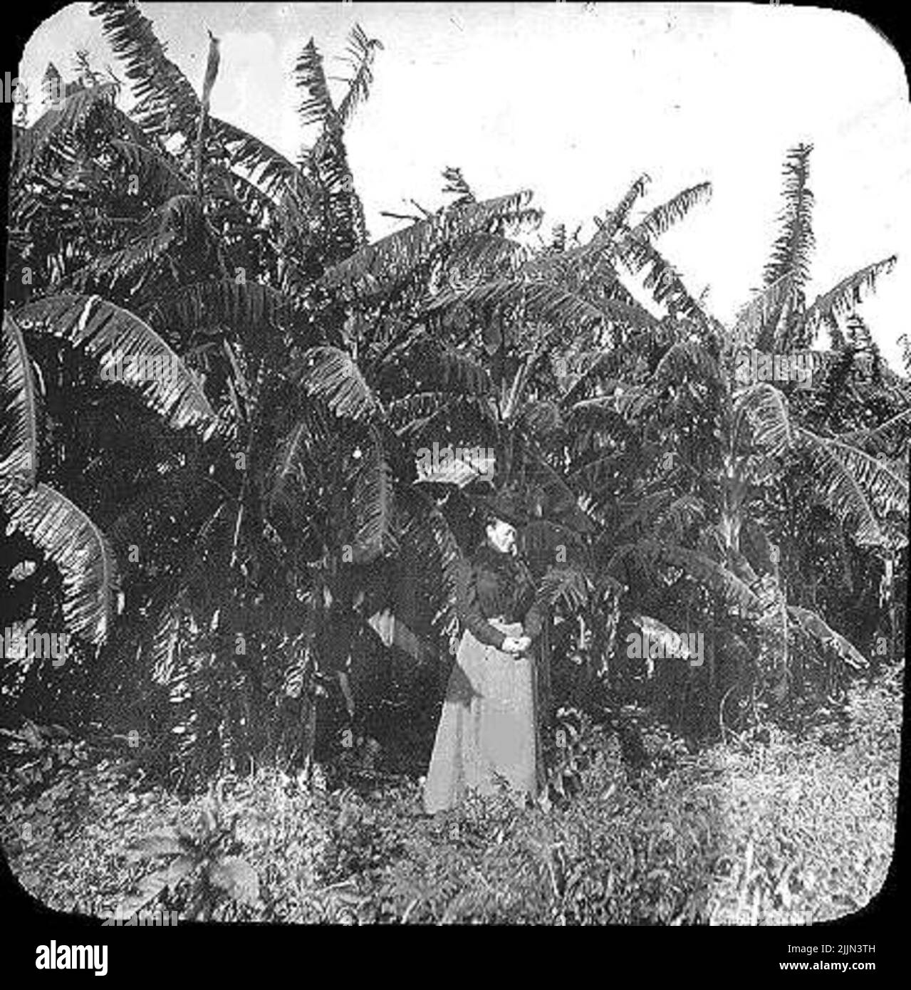 Rural florida Black and White Stock Photos & Images - Alamy