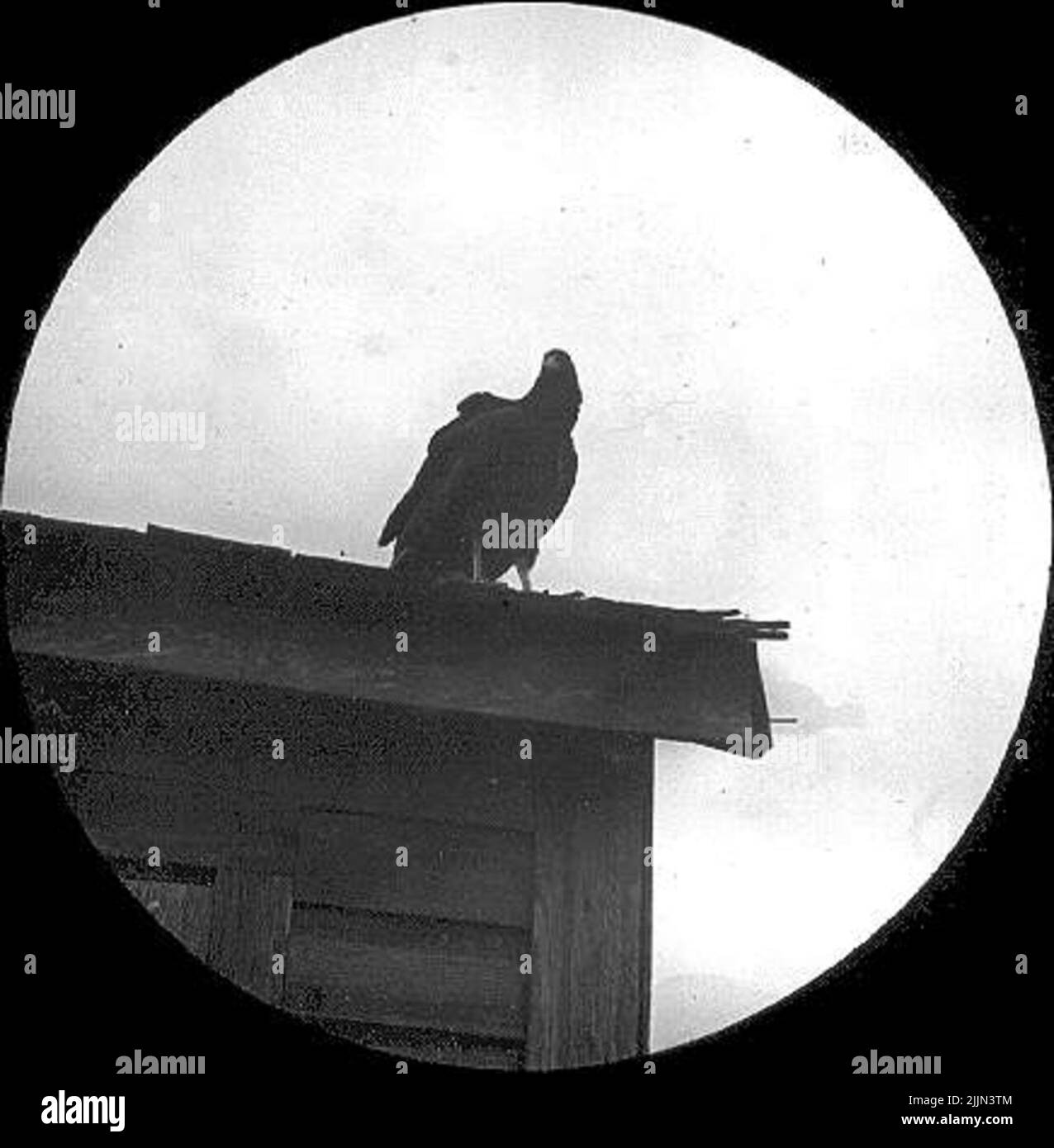 Rural florida Black and White Stock Photos & Images - Alamy