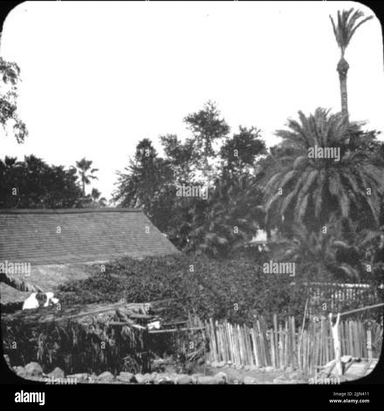 Indigenous history mexico Black and White Stock Photos & Images - Alamy