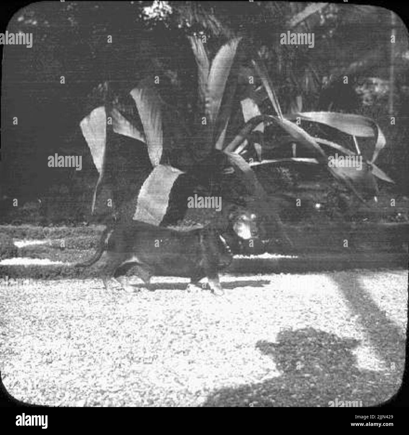 Southern greece Black and White Stock Photos & Images - Alamy