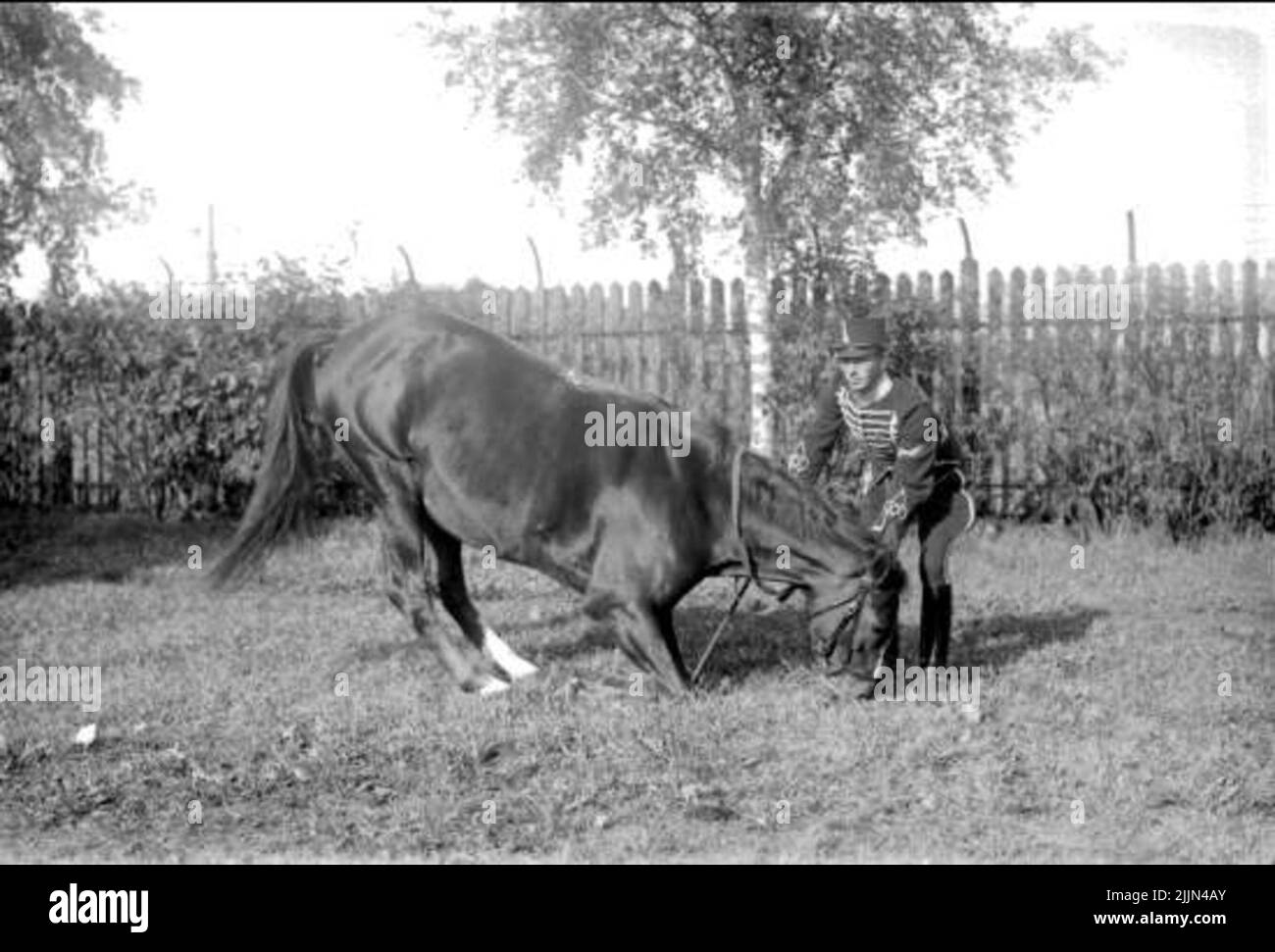 Society freedom Black and White Stock Photos & Images - Alamy