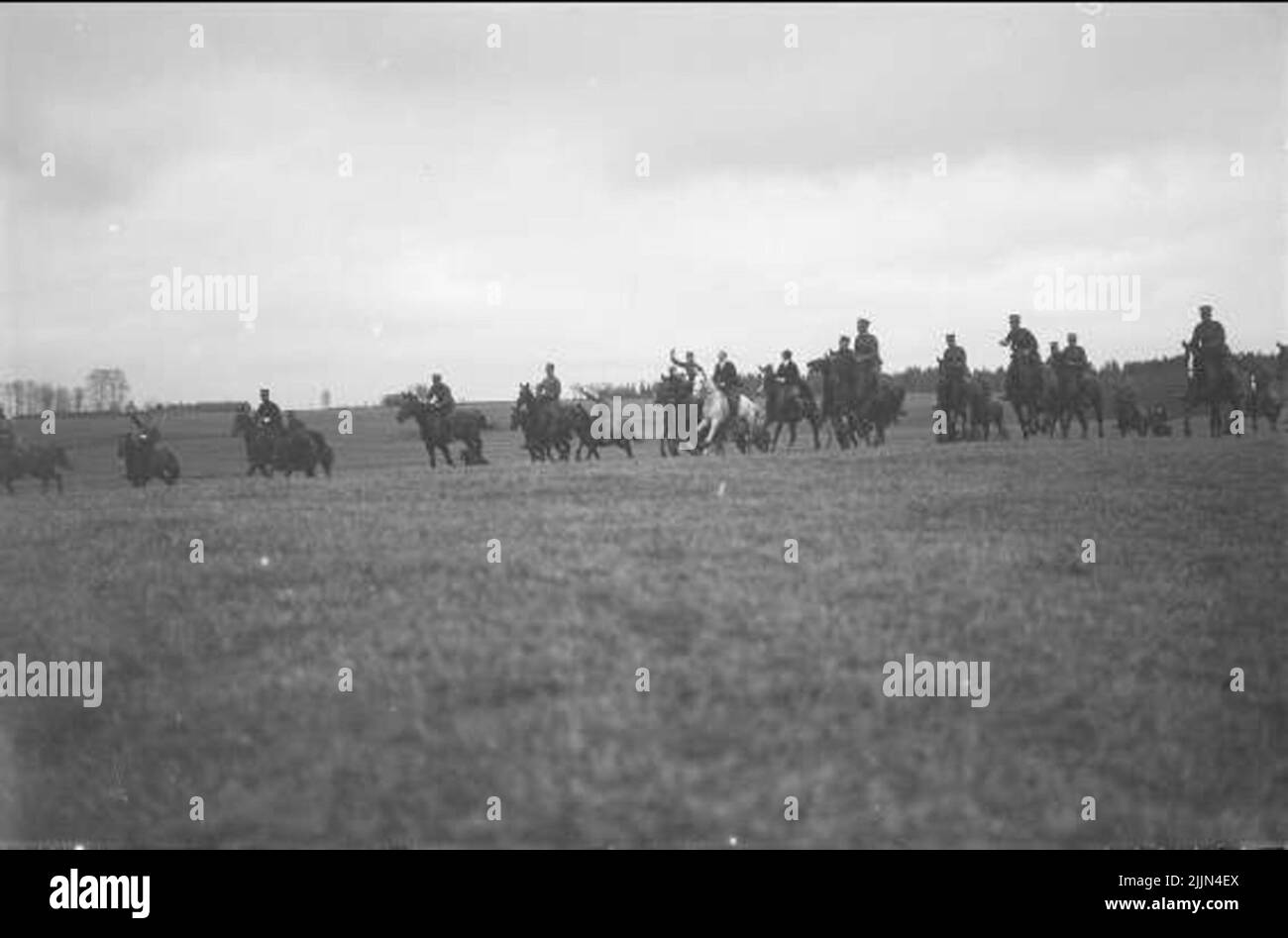 The hunting field has reached Halali Stock Photo - Alamy