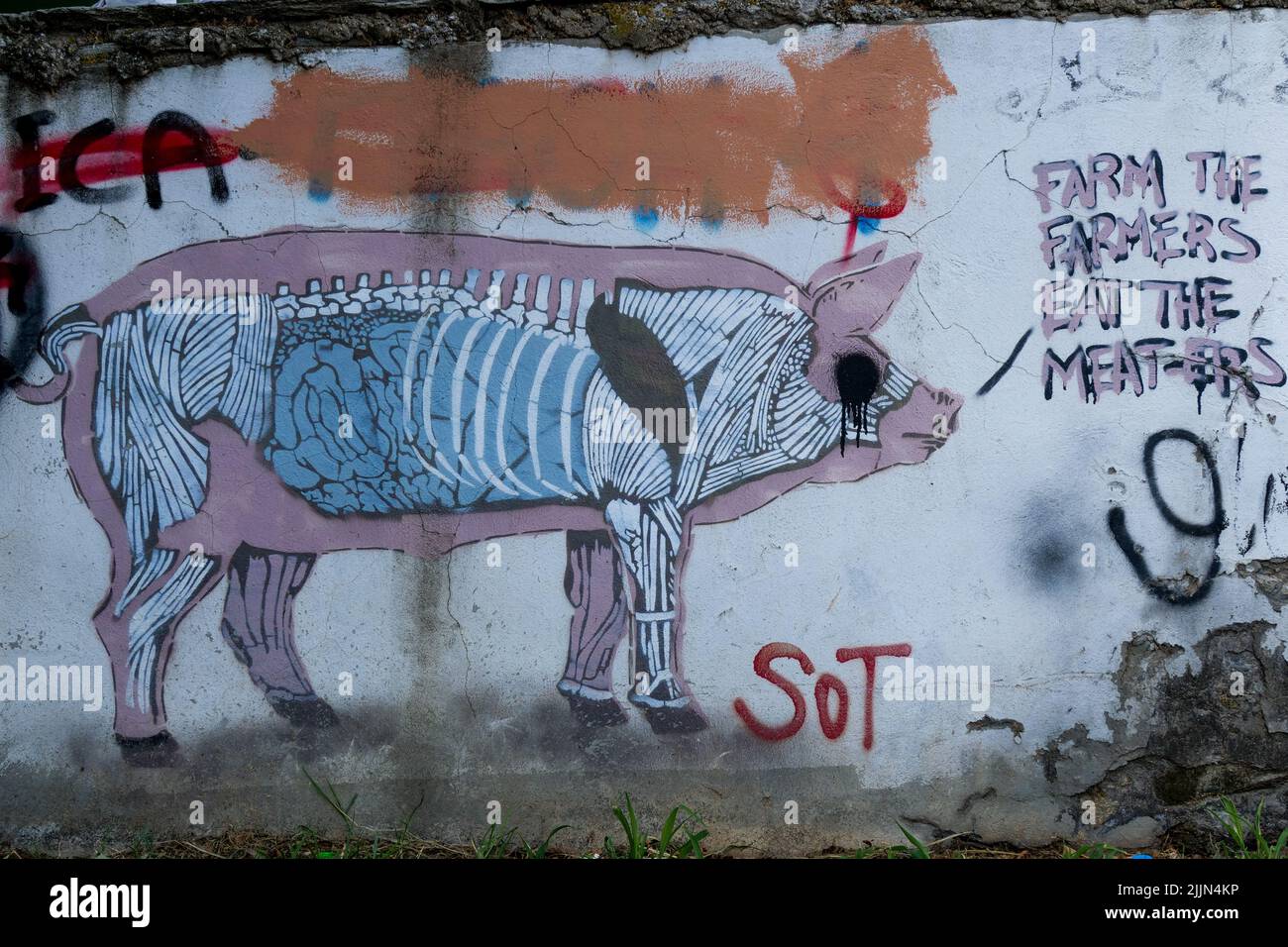 Pig, wallpaint, Thessaloniki, Macedonia, Greece Stock Photo - Alamy