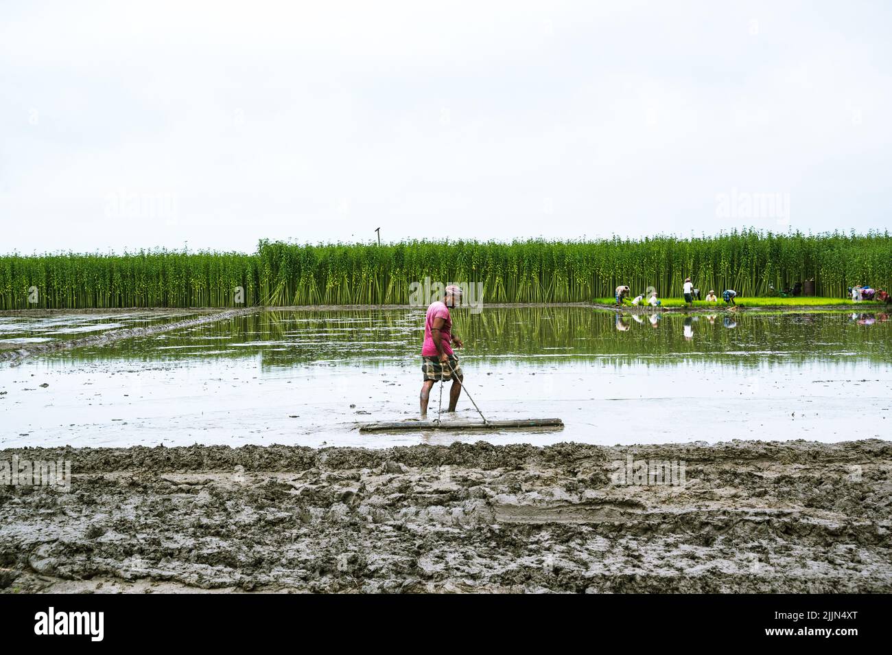 Bamboo hand plows hi-res stock photography and images - Alamy
