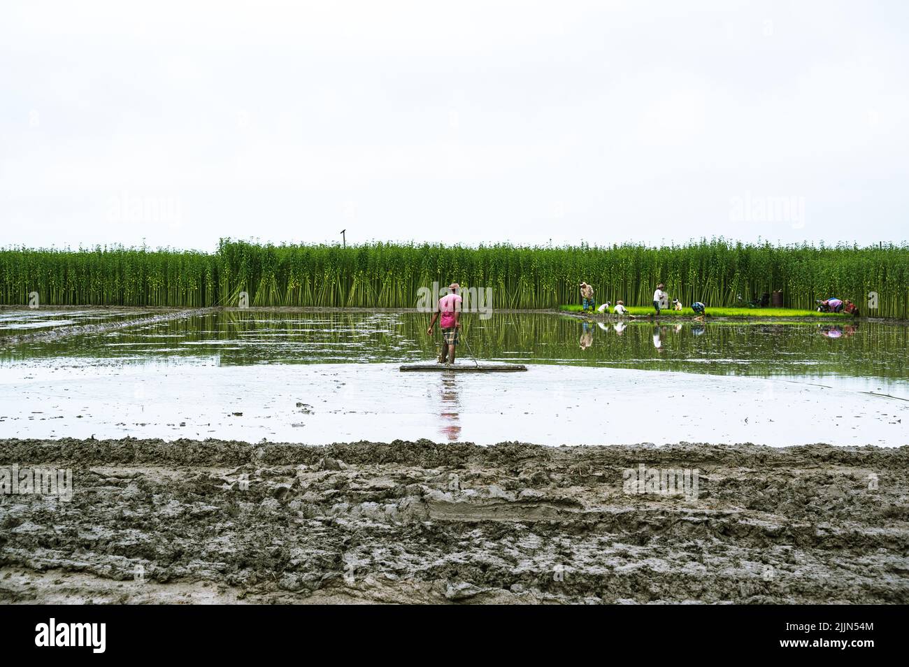 Jhinuk ghata hi-res stock photography and images - Alamy