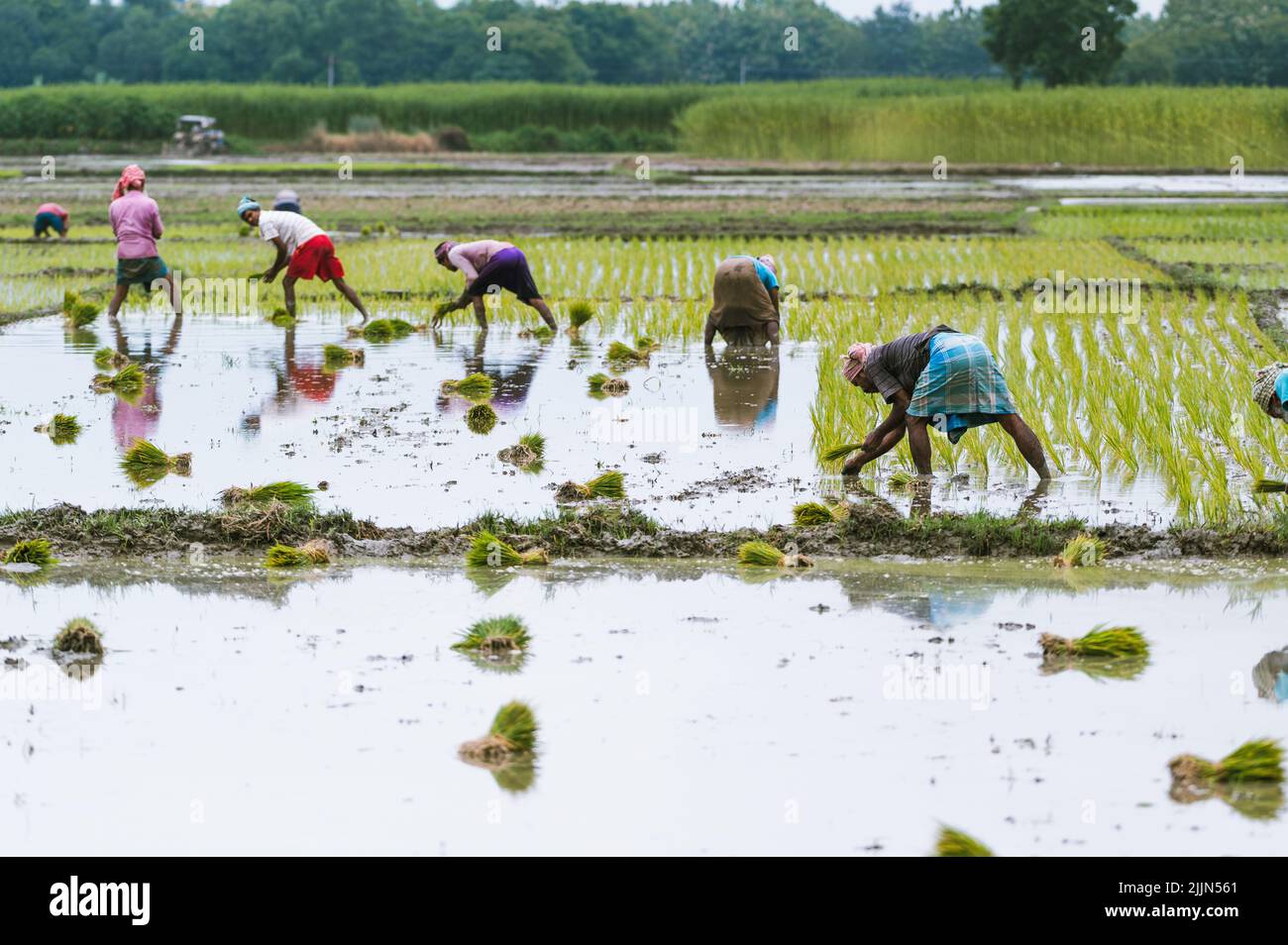 Jhinuk ghata farmers hi-res stock photography and images - Alamy