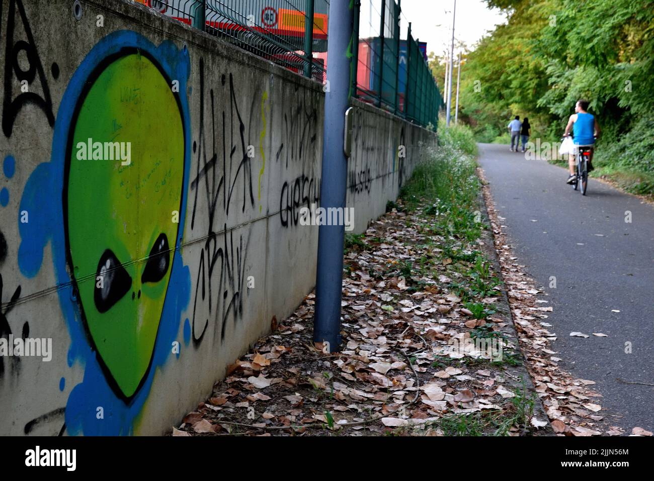 Street art green face alien on a grey wall into outskirts graffiti ...