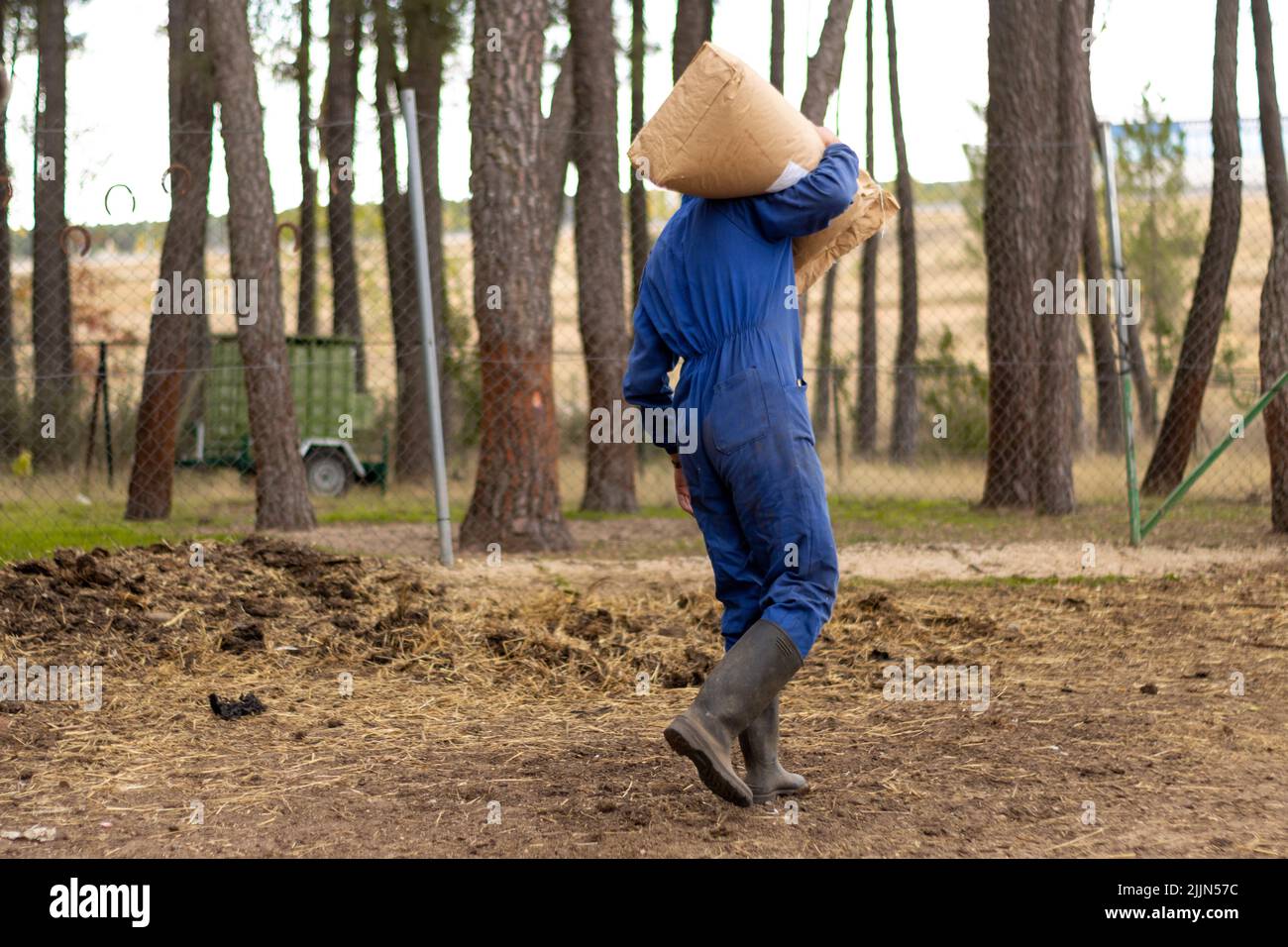 A portrait of young farmer and rancher carrying sacks of feed on their ...