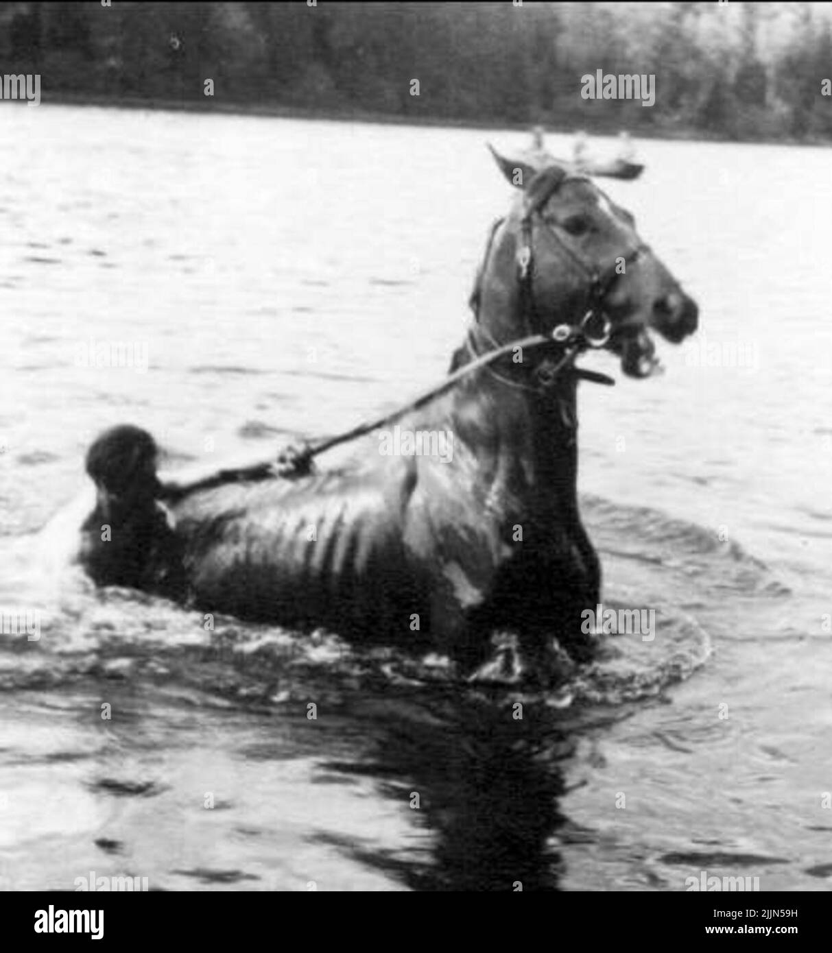 Turned all Black and White Stock Photos & Images - Alamy