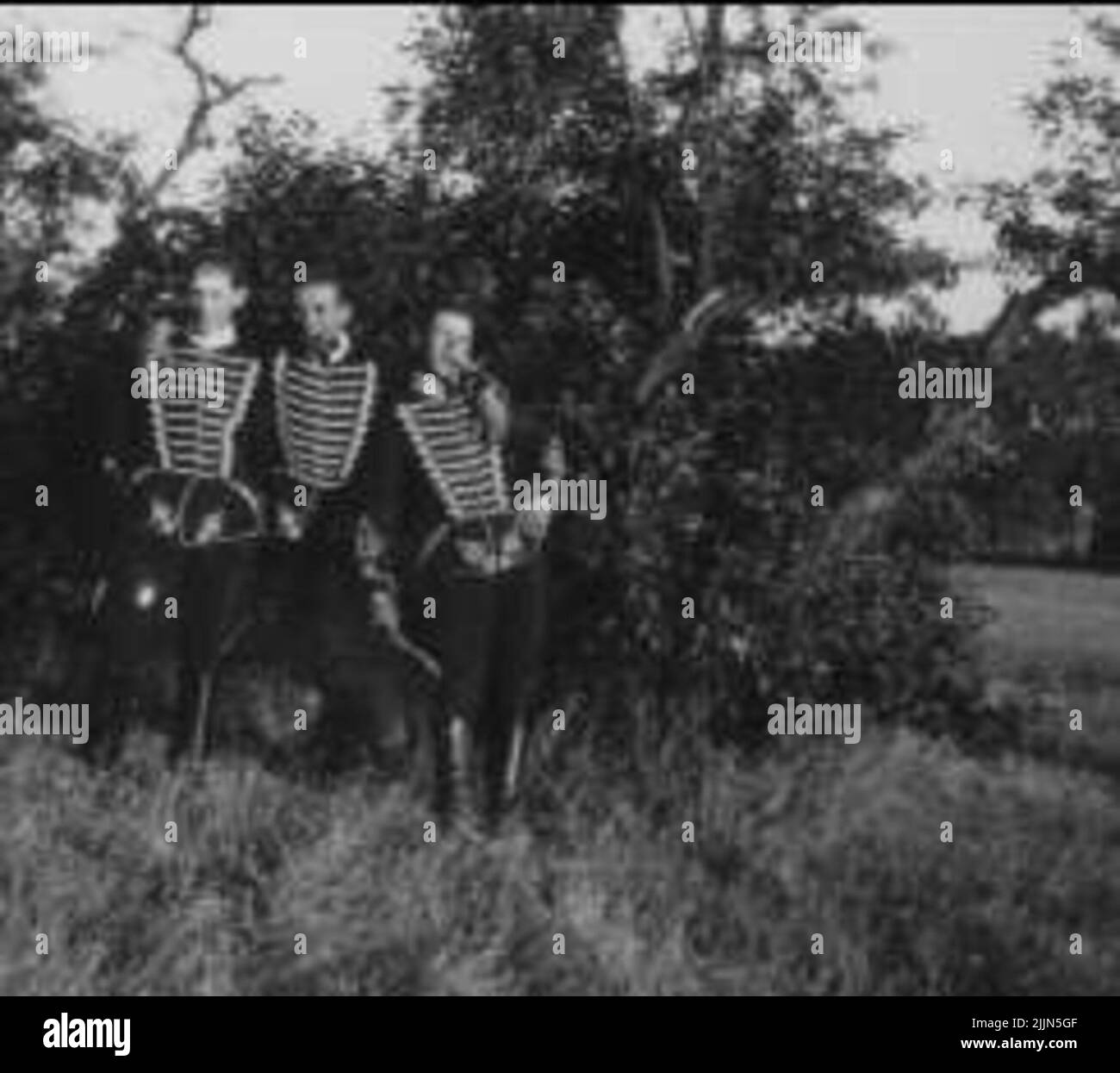 The Life Regiment's Husars, K3 Stock Photo - Alamy