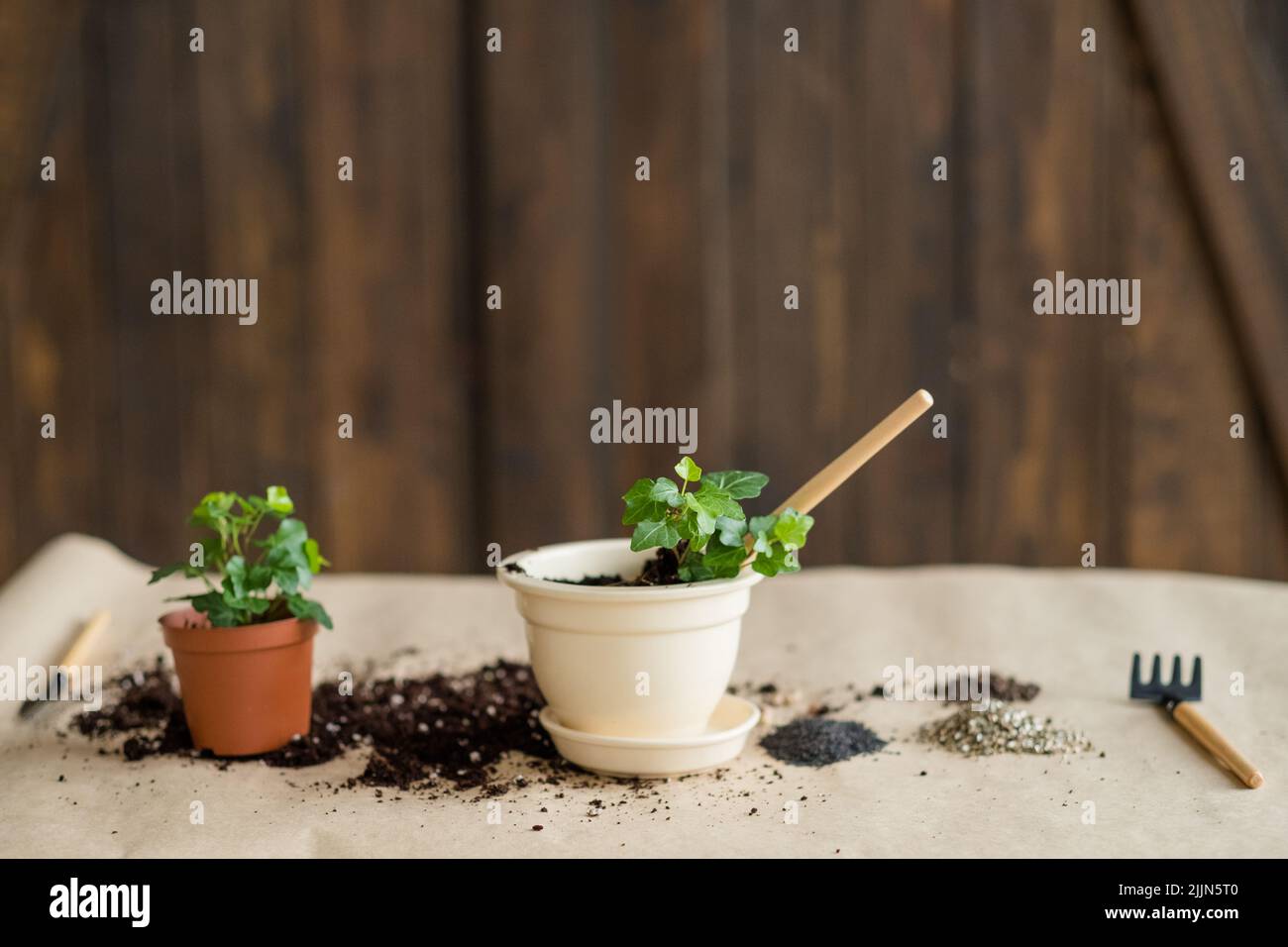 pots green plant gardening hobby floriculture Stock Photo - Alamy