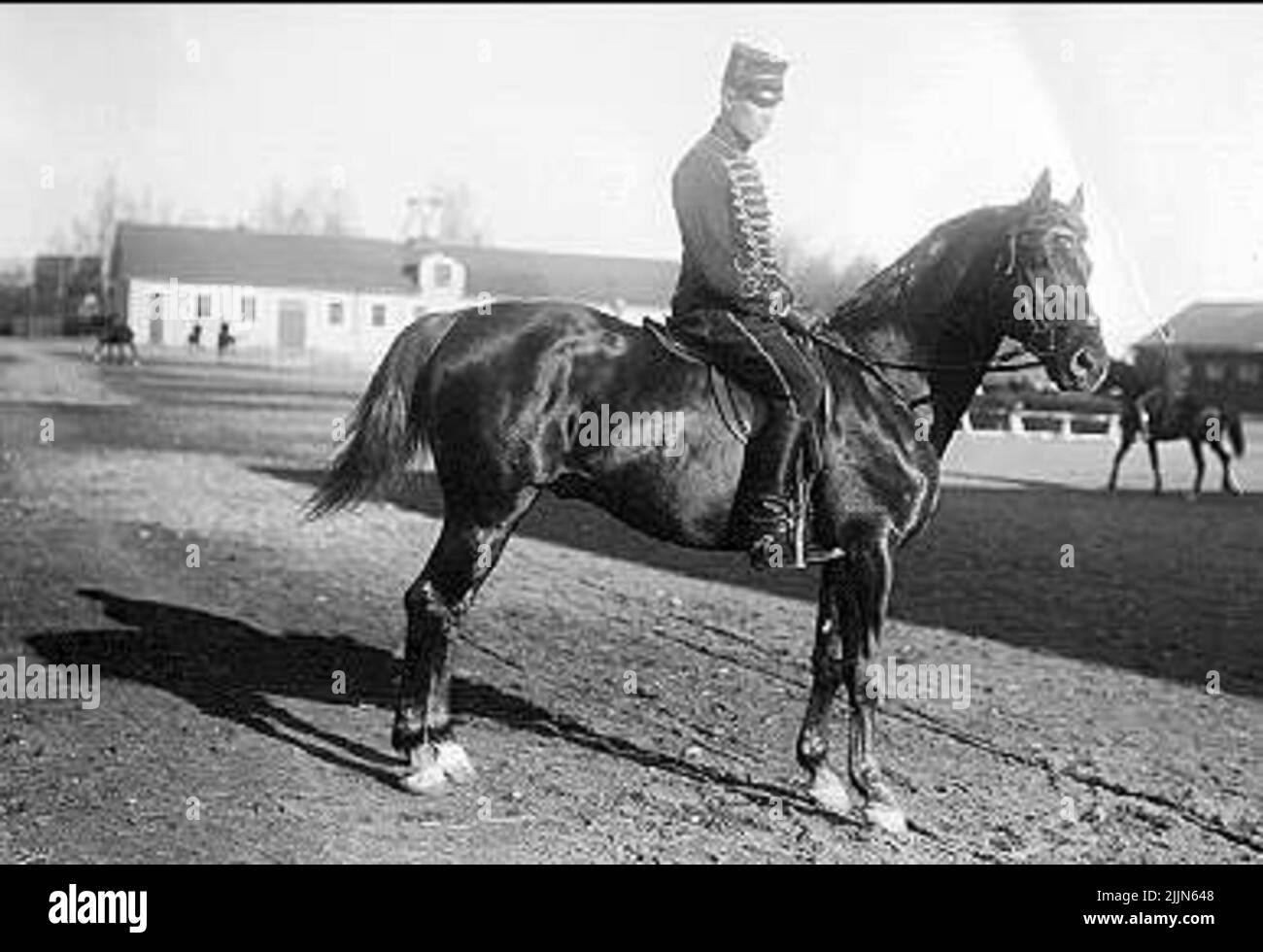 Stallion show Black and White Stock Photos & Images - Alamy