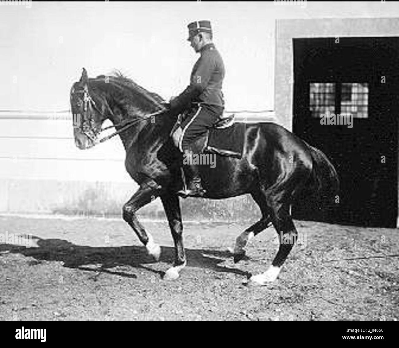 Stallion depiction hi-res stock photography and images - Alamy