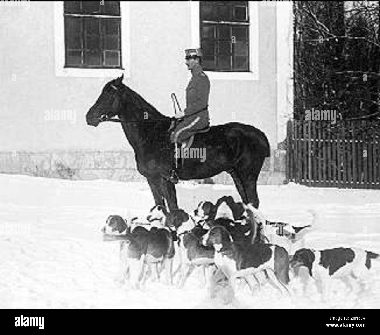 The master with the dogs Stock Photo - Alamy