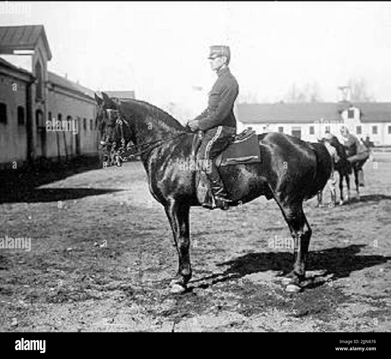 Stallion depiction hi-res stock photography and images - Alamy