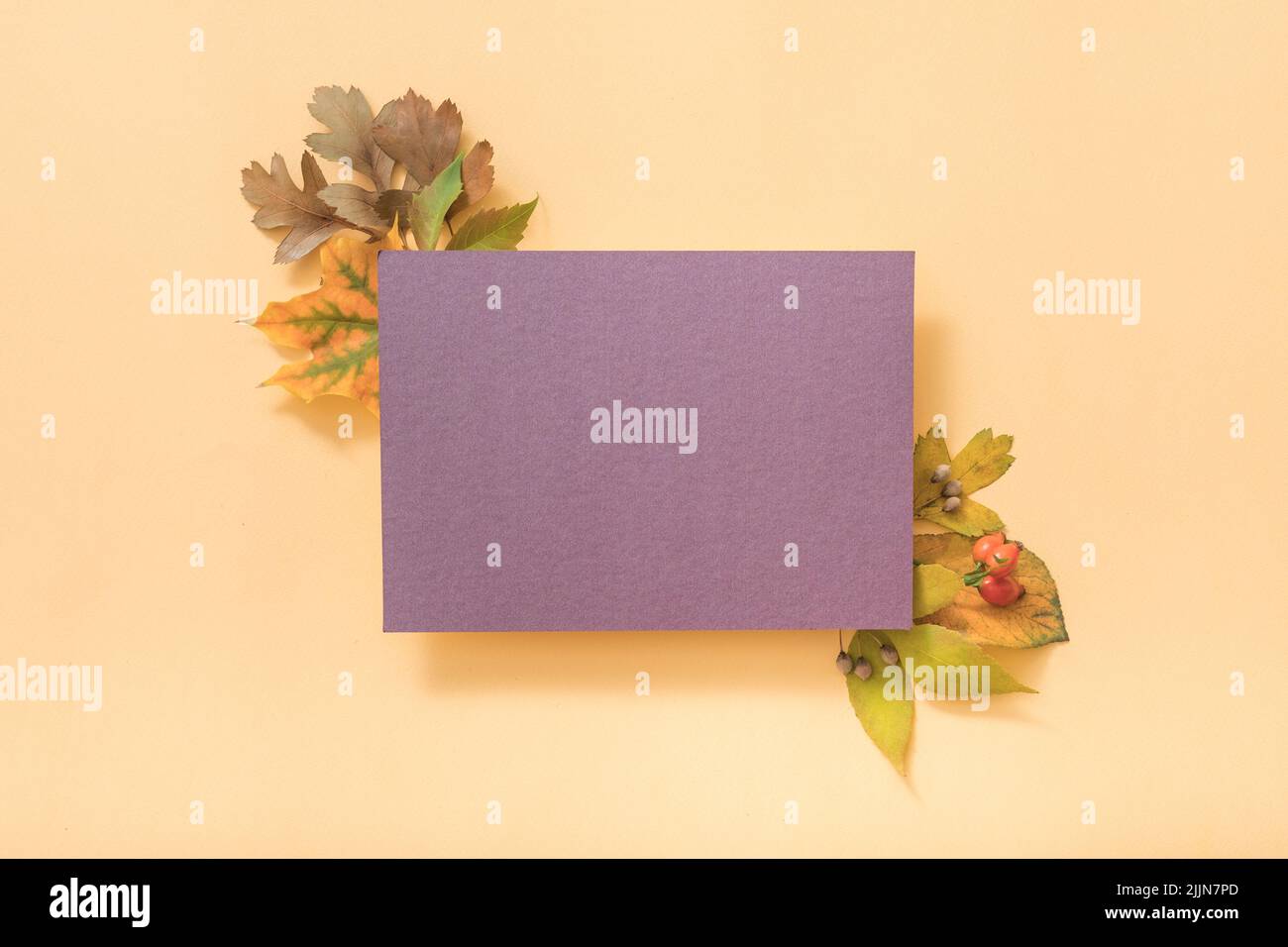 purple greeting card mockup birthday celebration Stock Photo - Alamy