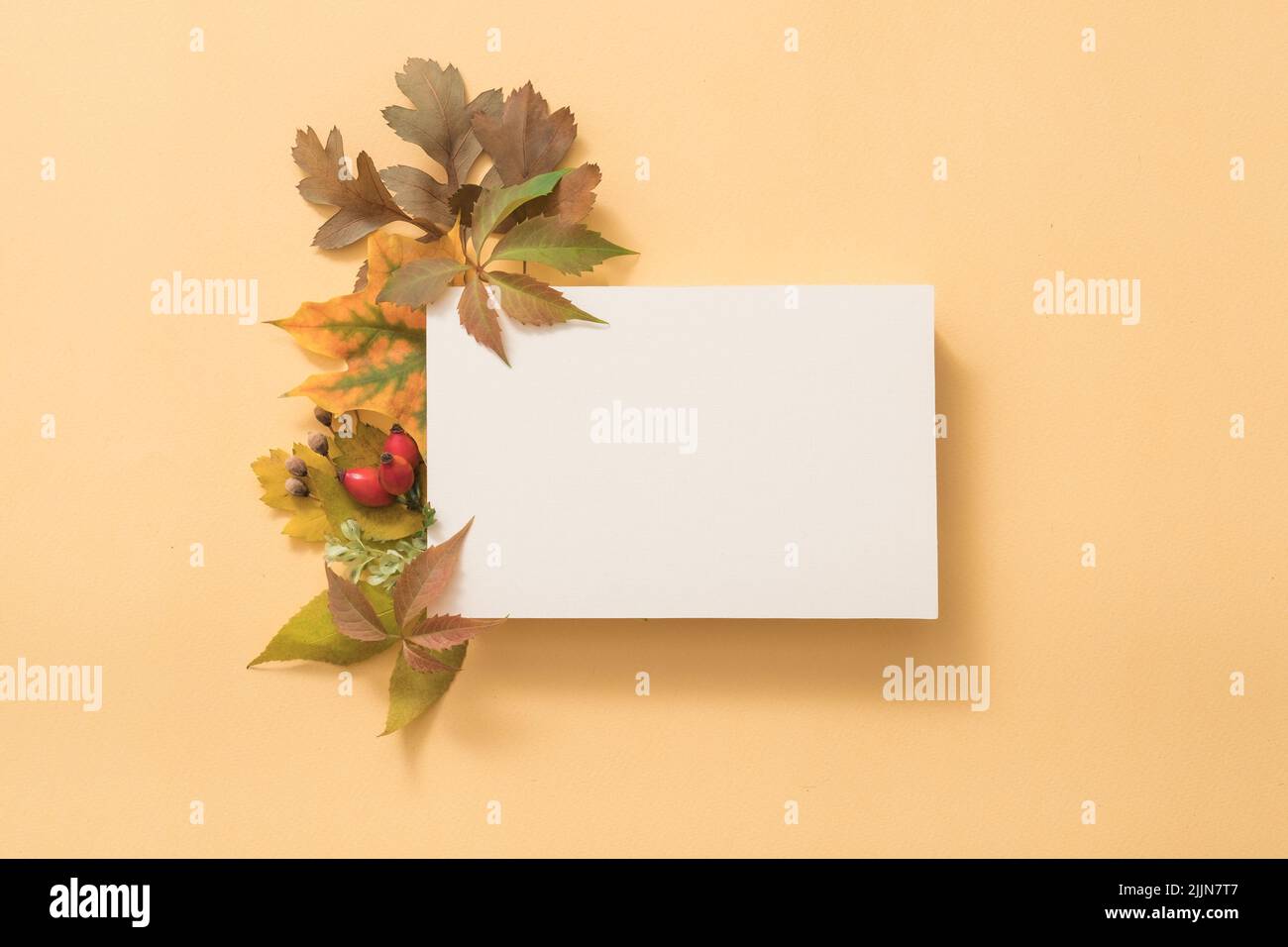 white empty paper birthday floral fall background Stock Photo - Alamy
