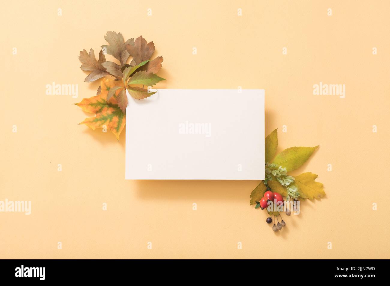 Minimalist birthday party invitation hi-res stock photography and ...