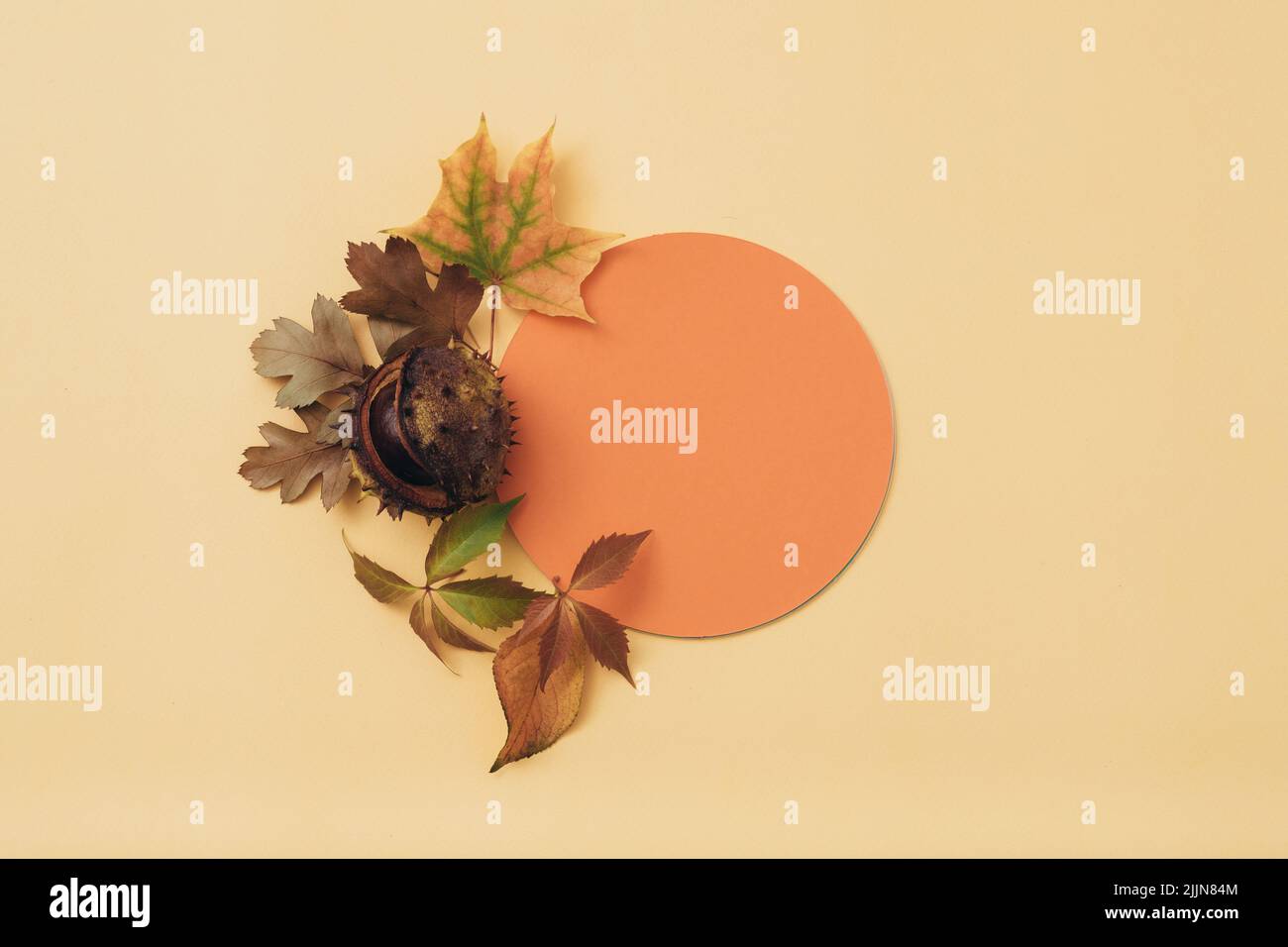 Orange blank hi-res stock photography and images - Alamy