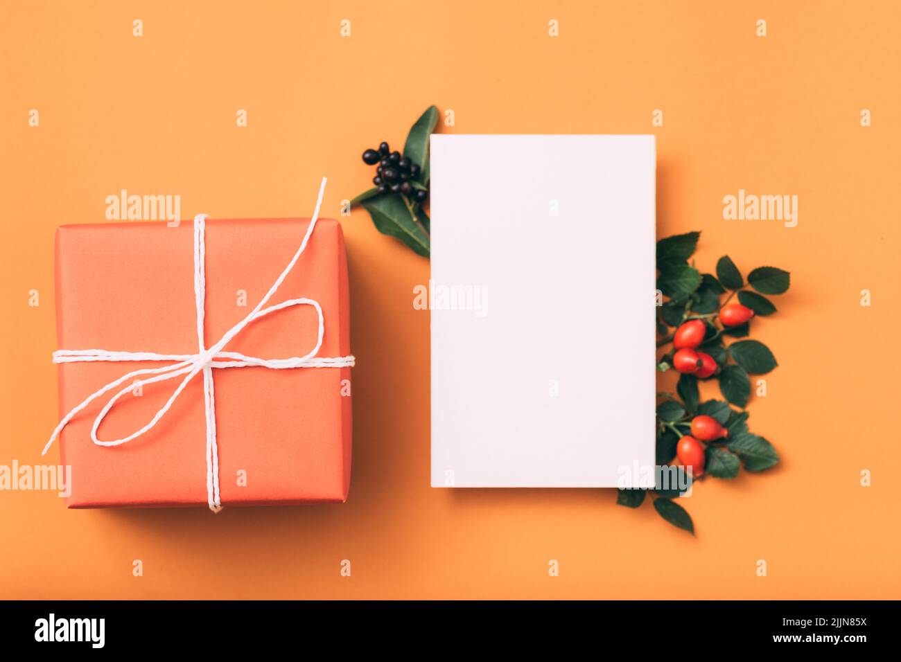 Green white empty paper box hi-res stock photography and images - Alamy