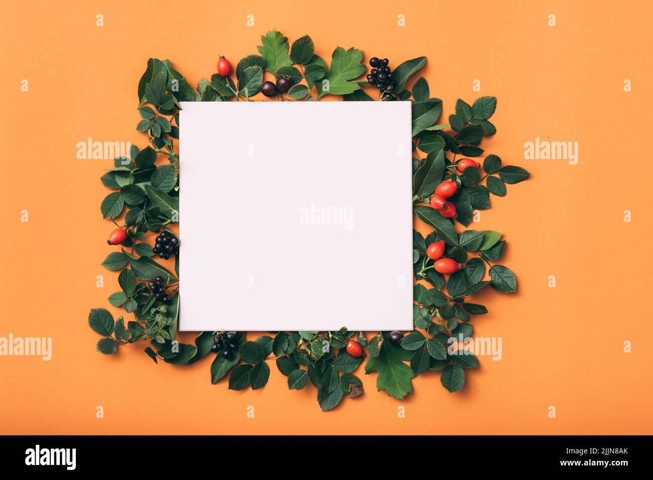 Minimalist birthday party invitation hi-res stock photography and ...