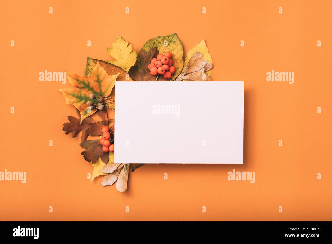 greeting card mockup congratulation autumn leaves Stock Photo - Alamy