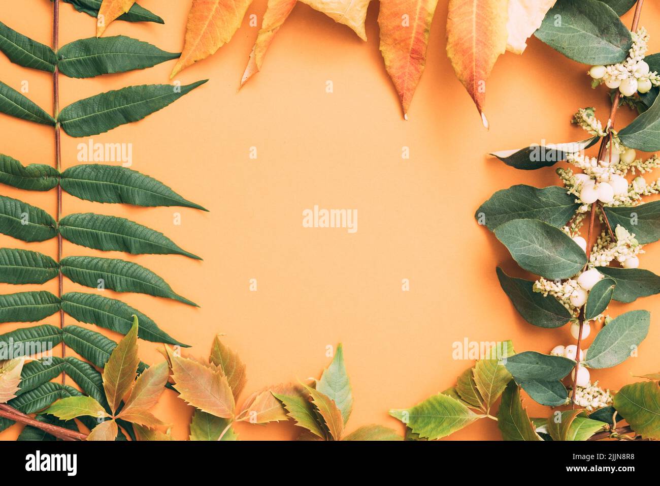 fall decorative background autumn leaves berries Stock Photo - Alamy