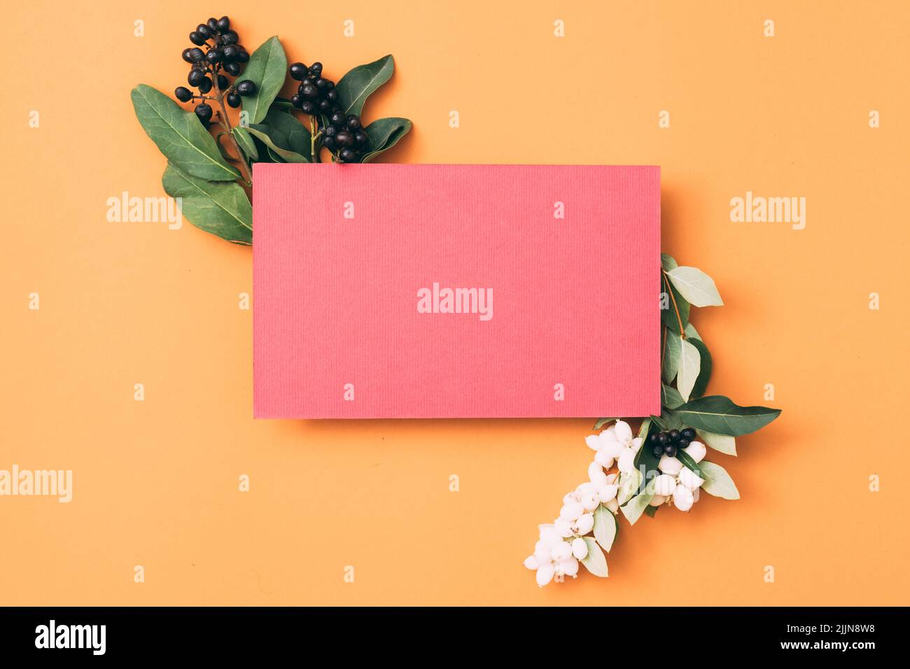 pink empty paper birthday greeting berries decor Stock Photo - Alamy