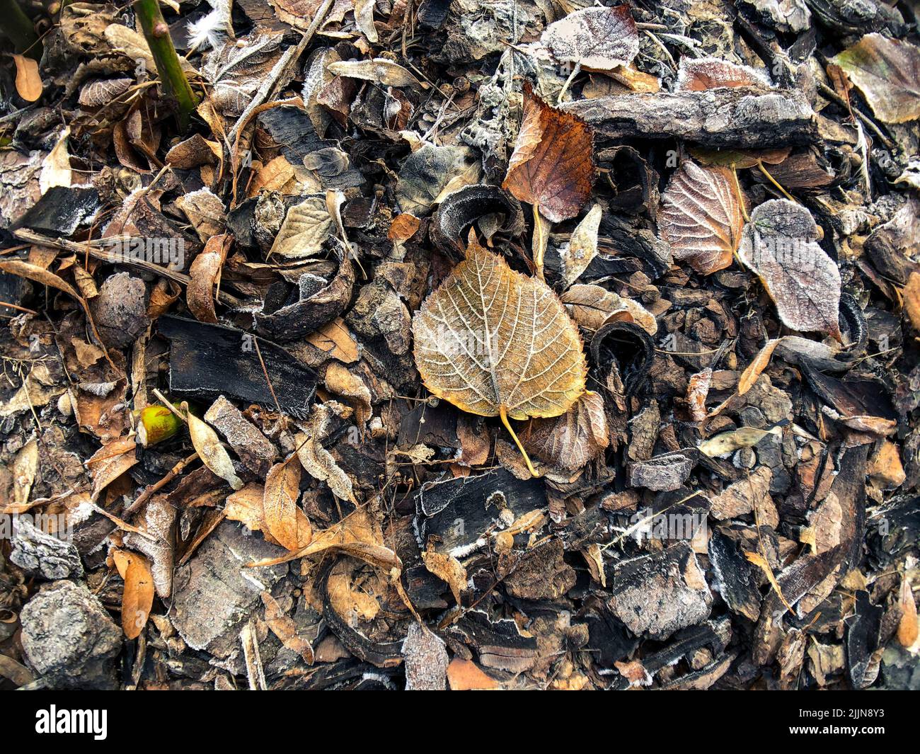 Dried environment hi-res stock photography and images - Alamy