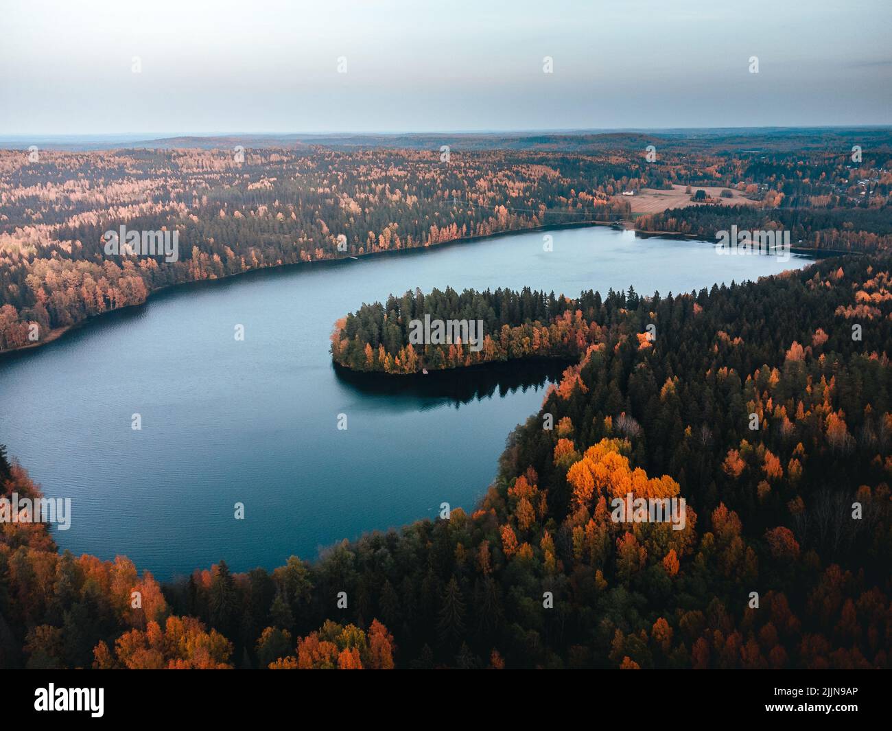 Small lake surrounded trees aerial hi-res stock photography and images ...