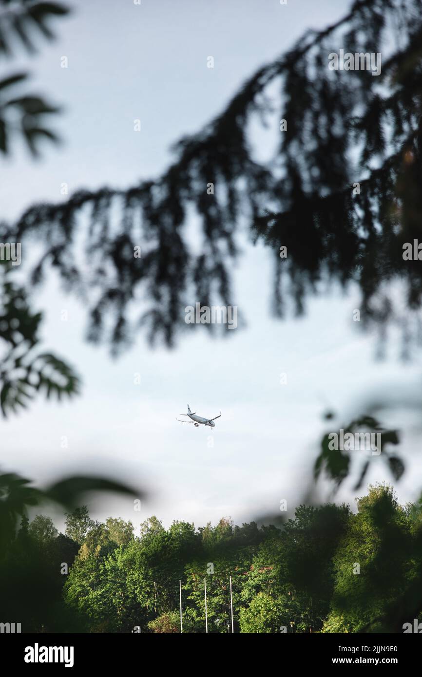 A vertical shot of the airplane flying in the sky, seen through tree ...