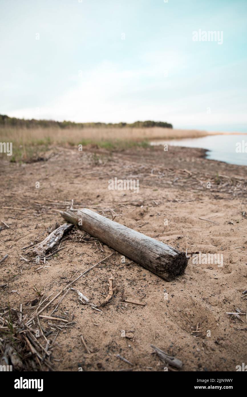 Vertical log hi-res stock photography and images - Alamy
